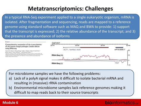 Canadian Bioinformatics Workshops Ppt Download