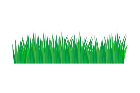 Grass Graphic By Sayedhasansaif04 · Creative Fabrica
