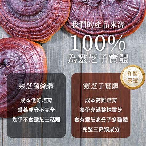 藥食同源 真靈芝和醫生技 和醫生技 您的健康保健專家