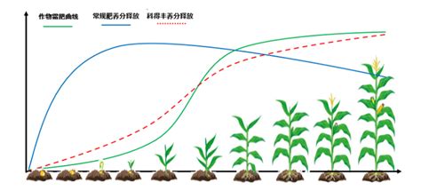 中化化肥科得丰，科学种田，丰收首选！中华网