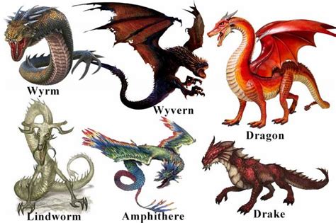 Dragon In Legends 8 Wyvern Wyrm Drake Lindworm Dinomake