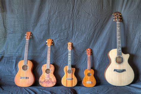 Le La Dun Ukulélé Dune Guitare Et Dun Téléphone Lelivrescolairefr