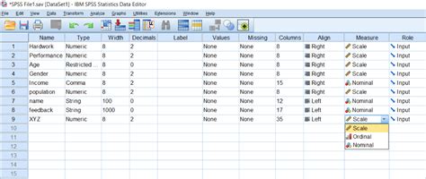 Scale Of Measurement In SPSS Javatpoint