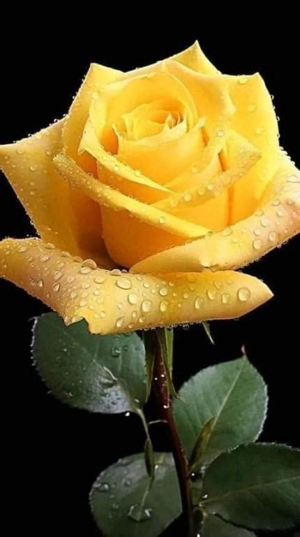 Soy Putita Caliente Mexicali Mujer Busca Hombre Mexicali