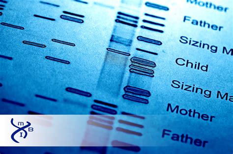 Why Is Dna Fingerprinting So Important Modern Biology Inc