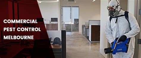 Pest Control Melbourne Same Day Pest Inspection Services Melbourne