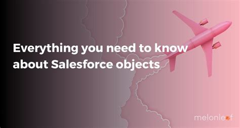 Everything You Need To Know About Salesforce Objects