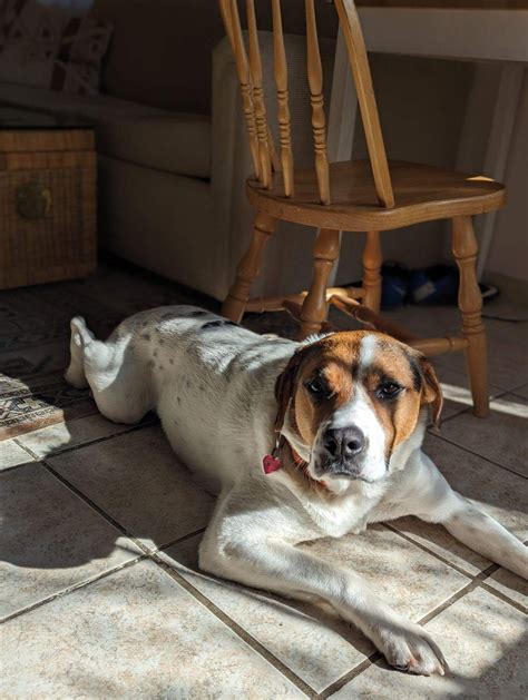 About — Andrew Lichter