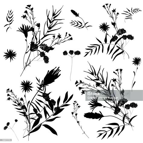 큰 세트 실루엣 식물성 꽃 요소 나뭇가지 잎 허브 꽃 정원 필드 꽃다발 컬렉션에서 수집 초원 야생 식물 흰색 배경에 격리된 벡터 그림 0명에 대한 스톡 벡터 아트 및 기타