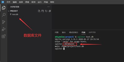 Sqlite 从入门到实战sql 蓝桥云课 Sqlite 从入门到实战sql 蓝桥云课