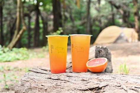 迷客夏菜單最強飲料是哪杯？dcard推薦7種必喝飲品，好喝的不只青檸香茶、珍珠紅茶拿鐵 風傳媒