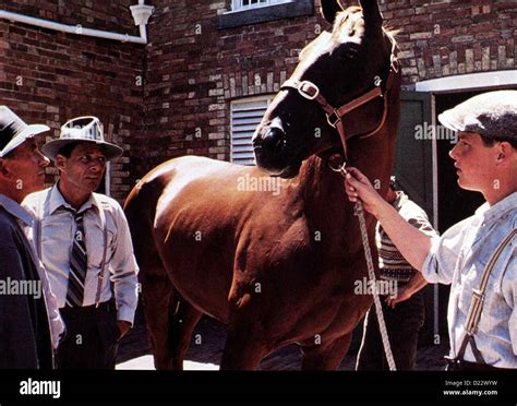 Phar Lap Legende Einer Nation Phar Lap Martin Vaughn Ron Leibman Tom Burlinson Schon Früh