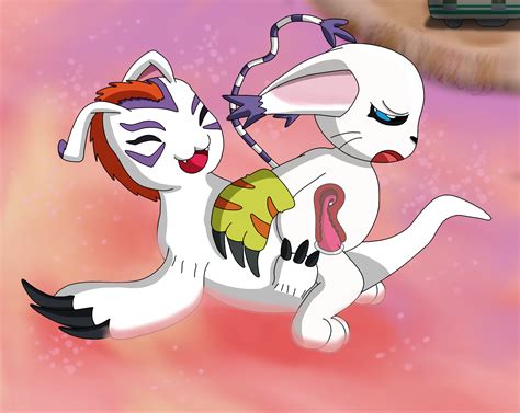Rule 34 Closed Eyes Digimon Female Feral Gatomon Gomamon Male Penis Sex Straight 2464218