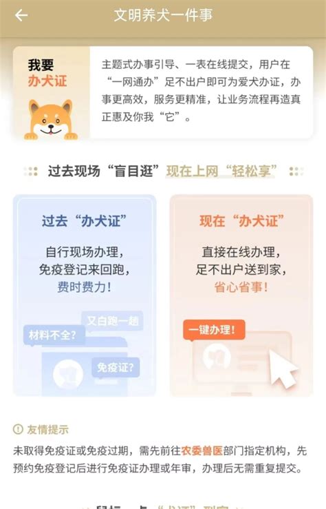 上海市怎么办犬证 上海慢慢看