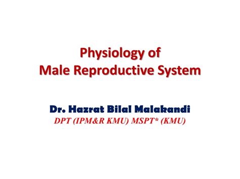 Ppt Physiology Of Male Reproductive System Powerpoint Presentation Free Download Id 8961393