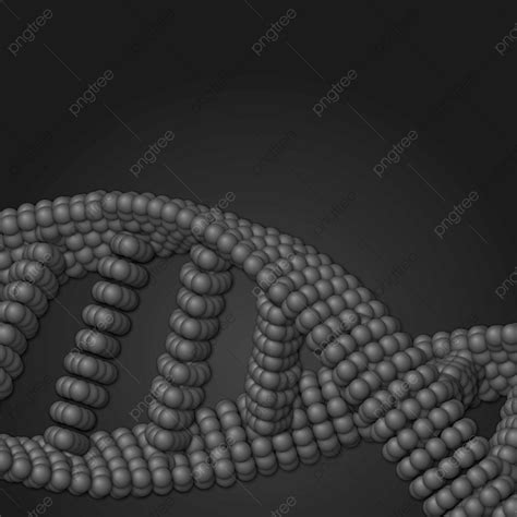 Array Of Grayscale Spheres In Form Of Dna Strand Piece Vector Modern Biochemistry Png And