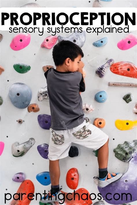 Sensory Systems Explained What Is Proprioception Sensory System Proprioceptive Activities