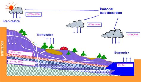 Stable Isotope Fractionation Of The Water Molecule In Natural Water