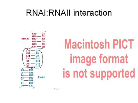 Lecture 3 Lecture 2 Catch Up Vector Structure