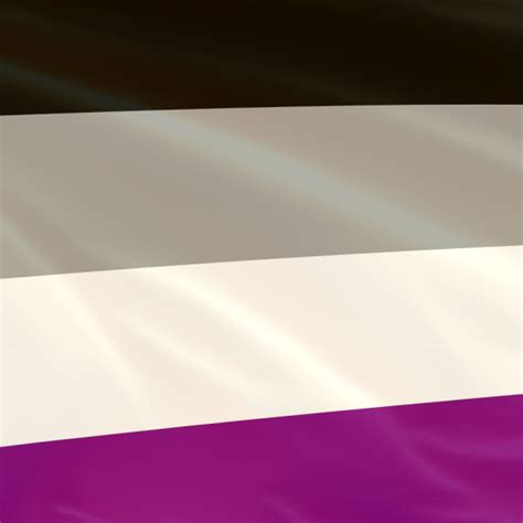 Asexual Pride Flag Equalitee