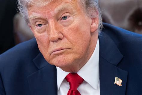 Trump Reacts To Being Called A Loser By Fox News Analyst Newsweek