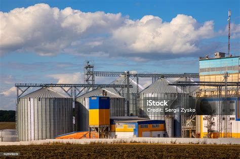농업 사일로 흰 구름이 있는 푸른 하늘에 곡물 밀 옥수수 콩 해바라기의 저장 및 건조 작물의 보관 0명에 대한 스톡 사진 및 기타 이미지 Istock
