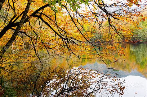 秋天，森林，五彩缤纷的树叶和瀑布，小溪，湖泊的景色