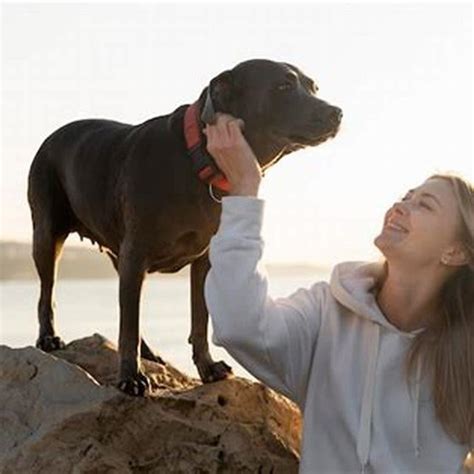 Can You Crush Drontal Worming Tablets For Cats Diy Seattle