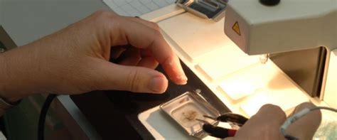 Tissue Processing Part 2 Laboratory Insider