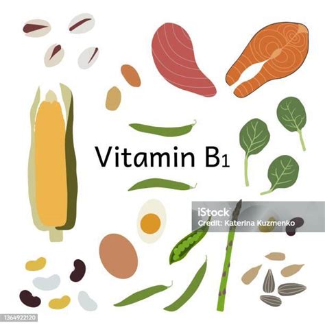 비타민 B1 소스의 컬렉션 티아민을 함유한 음식 식이 제품 유기농 영양 플랫 벡터 만화 일러스트레이션 0명에 대한 스톡 벡터 아트 및 기타 이미지 Istock