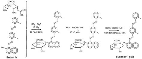 Chemical Synthesis Of Sudaniv B D Glucuronide Download Scientific Diagram
