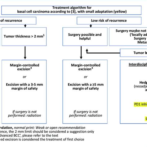 Histological Overview Showing A Nodular Bcc Nodulocystic Variant A Download Scientific