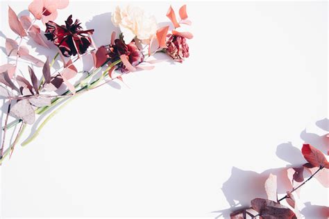 深拷貝與淺拷貝 Hobbys Note