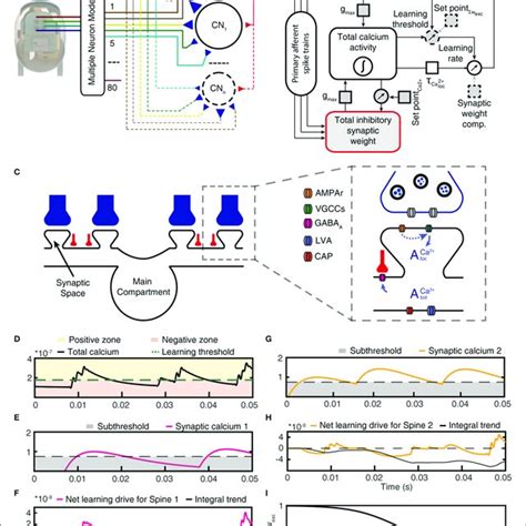 Functional Structure Of The CN Model A Structure Of The CN Network Download Scientific