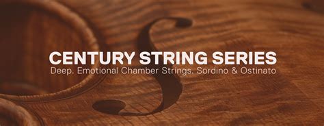 8dio Century Strings Normale And Sordino Strings For Kontakt Vst
