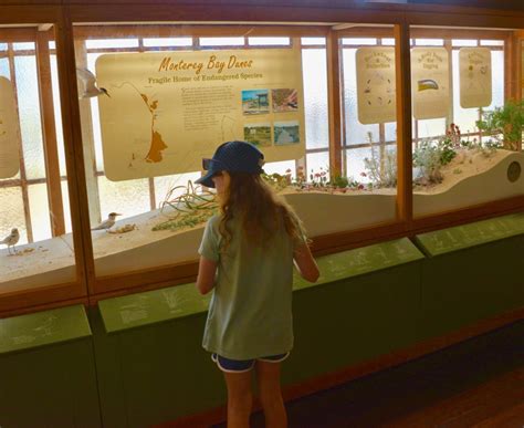 Pacific Grove Museum Of Natural History Science Museum