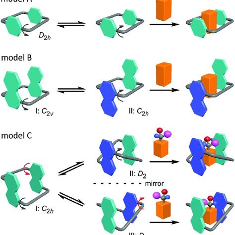 Conformational Analysis Of Three Types Of Macrocyclic Hosts With Download Scientific Diagram