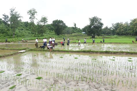 ရခိုင်ပြည်နယ် မောင်တောမြို့တွင် ခရိုင်စီမံအုပ်ချုပ်ရေးအဖွဲ့ဥက္ကဋ္ဌ ဦးနေဦးနှင့် ဌာနဆိုင်ရာတာ၀န်ရ