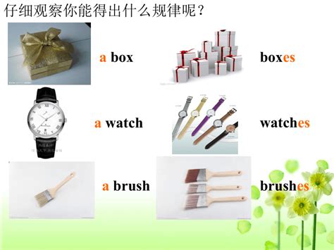 名词单数变复数 课件 2022 2023学年人教版英语七年级上册 共24张ppt 21世纪教育网
