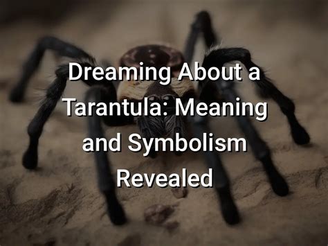 Dreaming About A Tarantula Meaning And Symbolism Revealed Symbol Genie