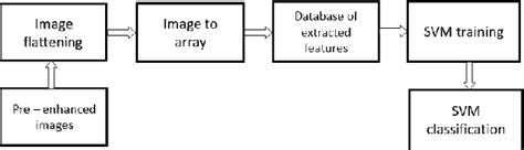 Figure 1 From Classification Of Skin Diseases Using Image Processing And Svm Semantic Scholar