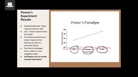 Attentional System 1 Youtube