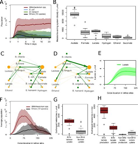 Figure 1 From A Multiscale Spatiotemporal Model 1 Including A Switch From Aerobic To 2 Anaerobic