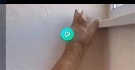 When I Get Into Unnecessary Trouble Album On Imgur