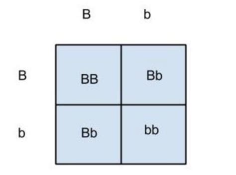 Teas Science Practice Part3 Flashcards Quizlet