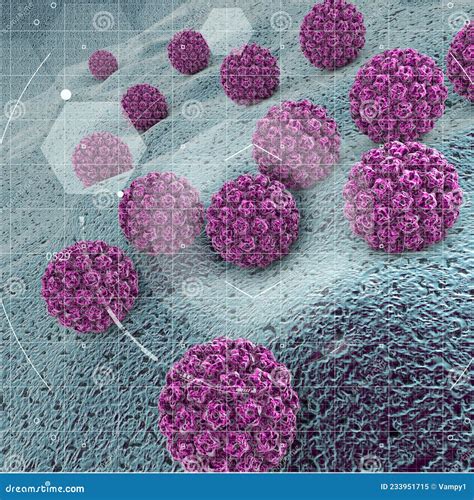 Human Papillomavirus Infection Virus Stock Illustration Illustration