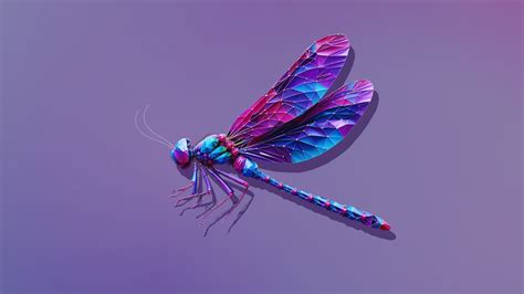 Master Apex Replay Debugger How To Streamline Debugging In Salesforce