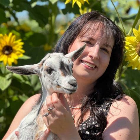 Canning Pizza Sauce From Fresh Tomatoes • The Rustic Elk