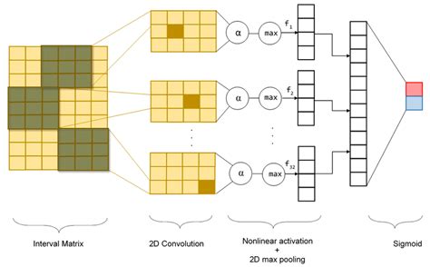 convolutional neural network exploits the learned representation which