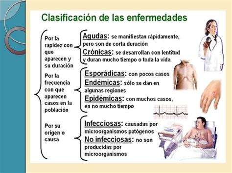 Biología Didáctica Enfermedades No Infecciosas Pamer 3°